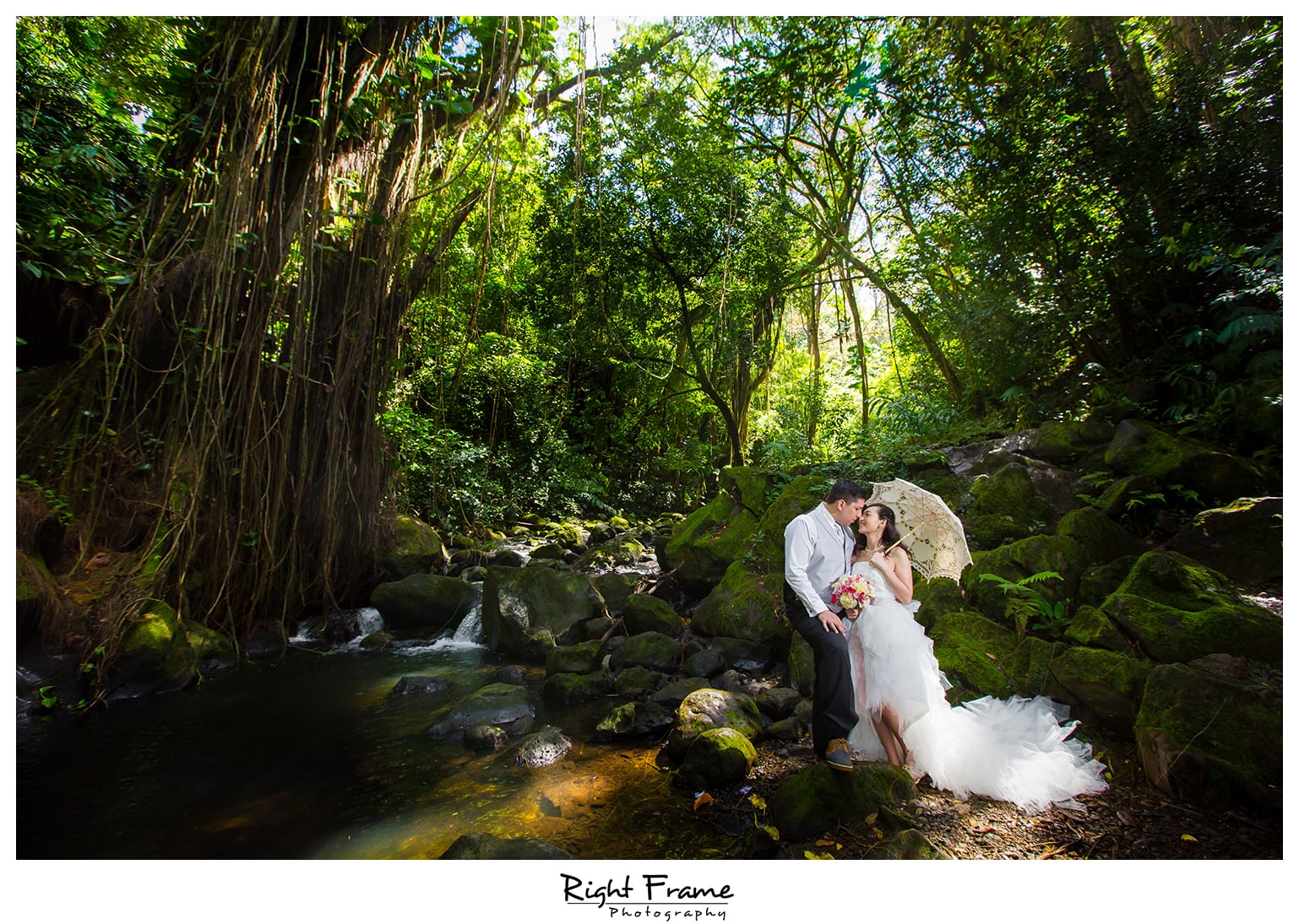 Waterfall | Bamboo Forest by RIGHT FRAME PHOTOGRAPHY